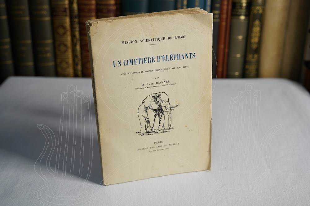 Mission scientifique de l'Omo. Un cimetière d'éléphants. - Biblethiophile